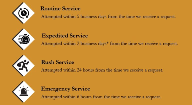 Different Service Levels Explained – Pro Legal Serve